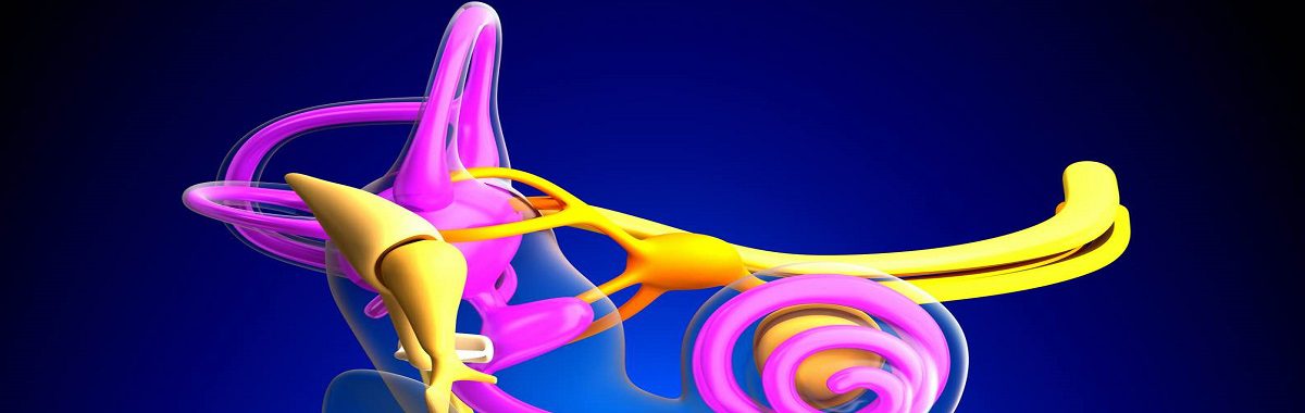 Visual Disturbance - Bayly Physio & Rehab